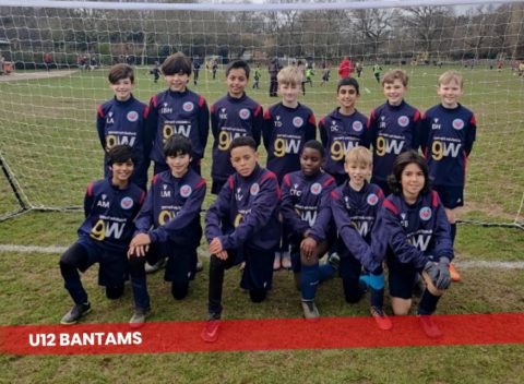 Our Teams - FC Elmstead Youth